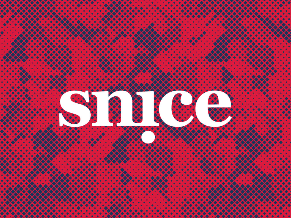 snice - heynink